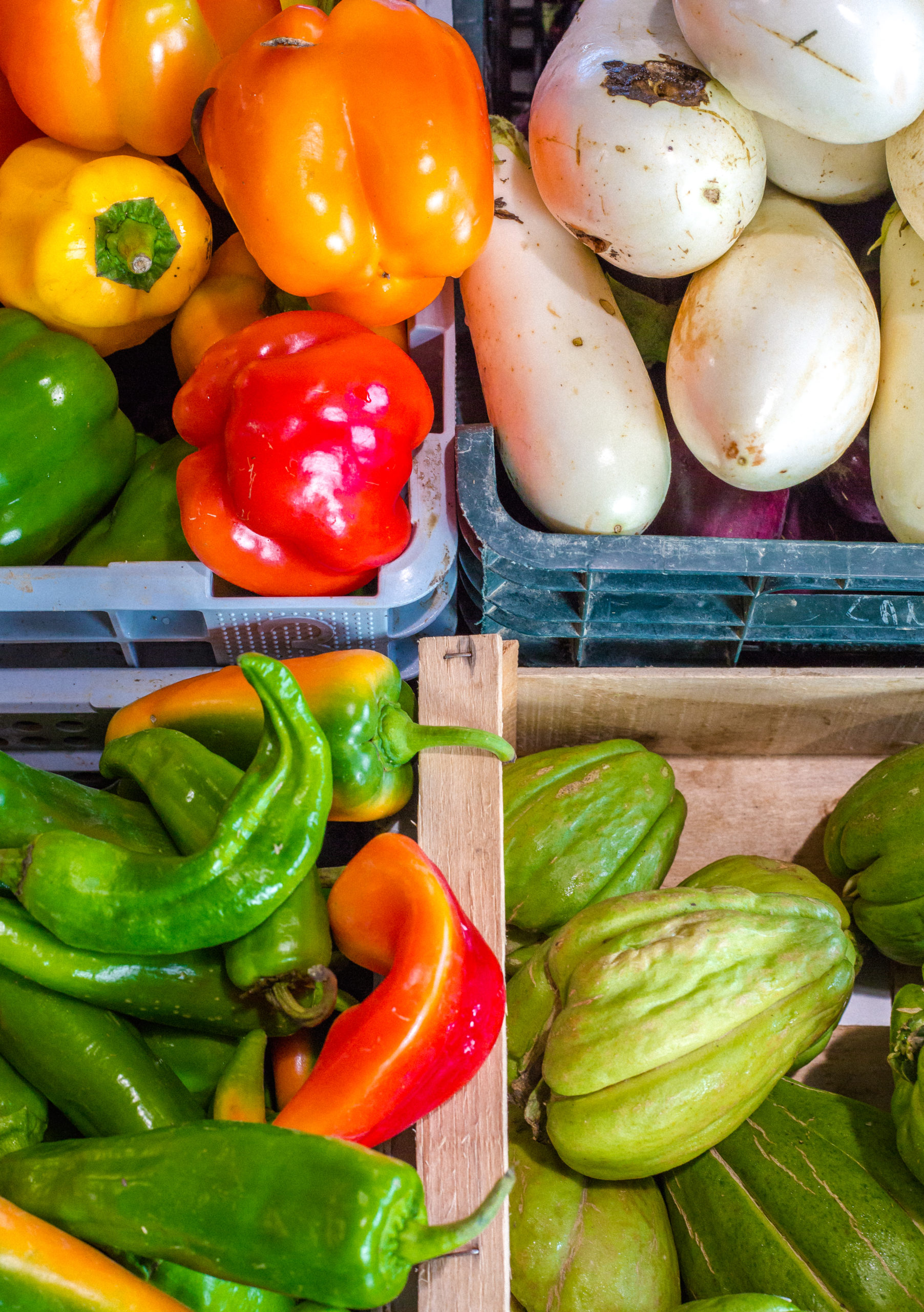 Des repas locaux dans nos cantines ! | Aunis Atlantique
